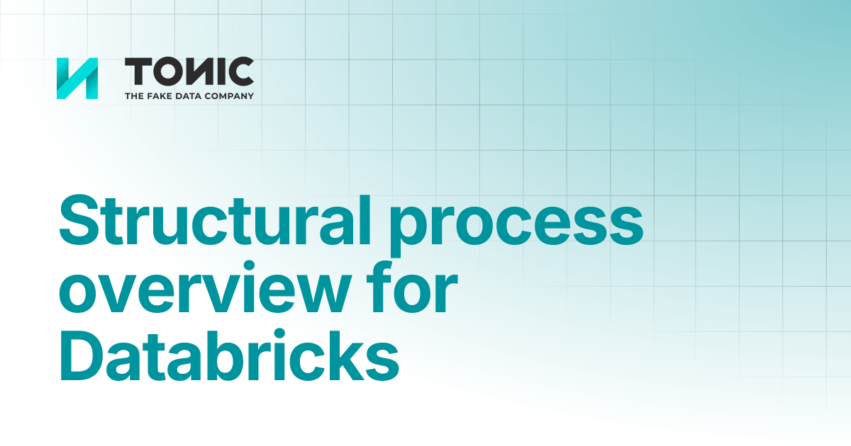 Structural process overview for Databricks | Tonic Structural